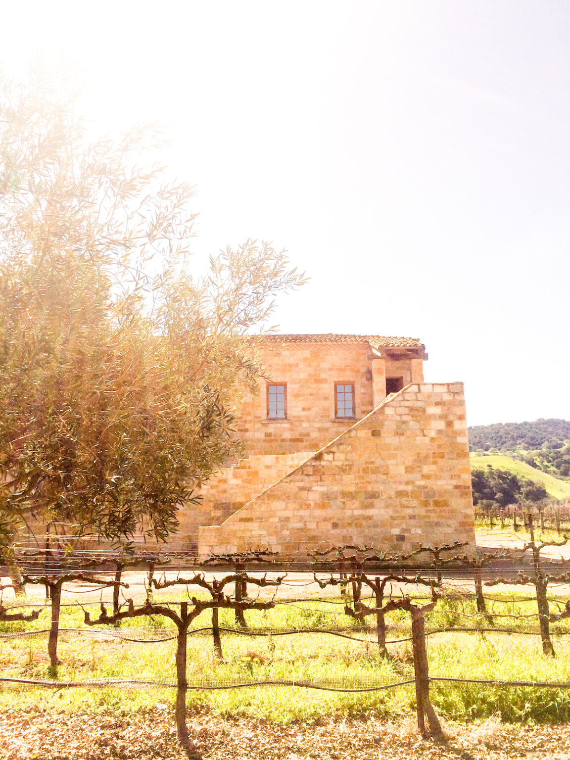 Sunstone Winery And Villa – Salty Canary
