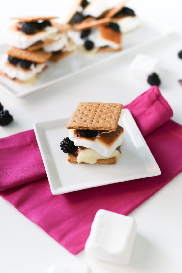 Blackberry Brie S’mores – Salty Canary
