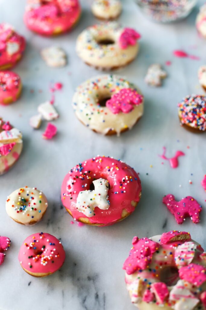 Animal Circus Cookie Donuts – Salty Canary