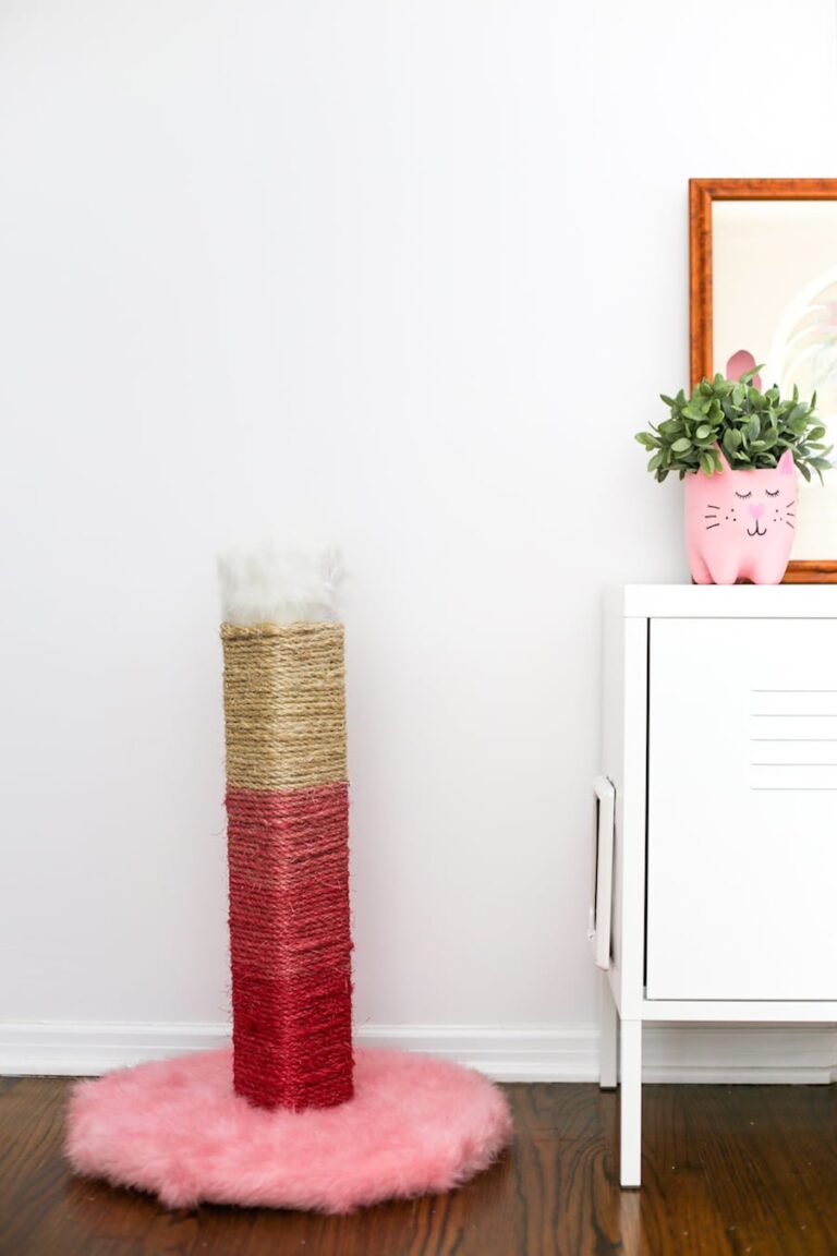 DIY Ombré Pink Cat Scratching Post – Salty Canary