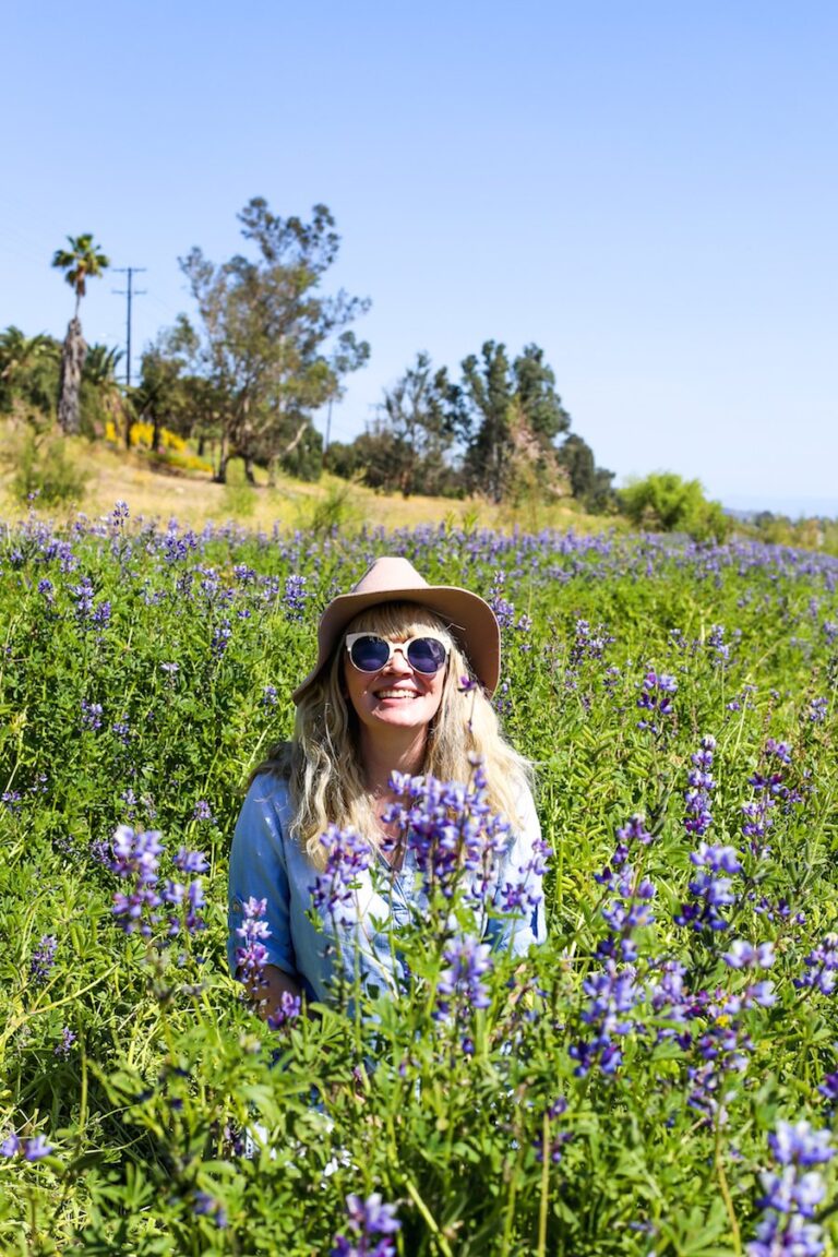 The Ultimate Southern California Spring Wildflower Guide – Salty Canary