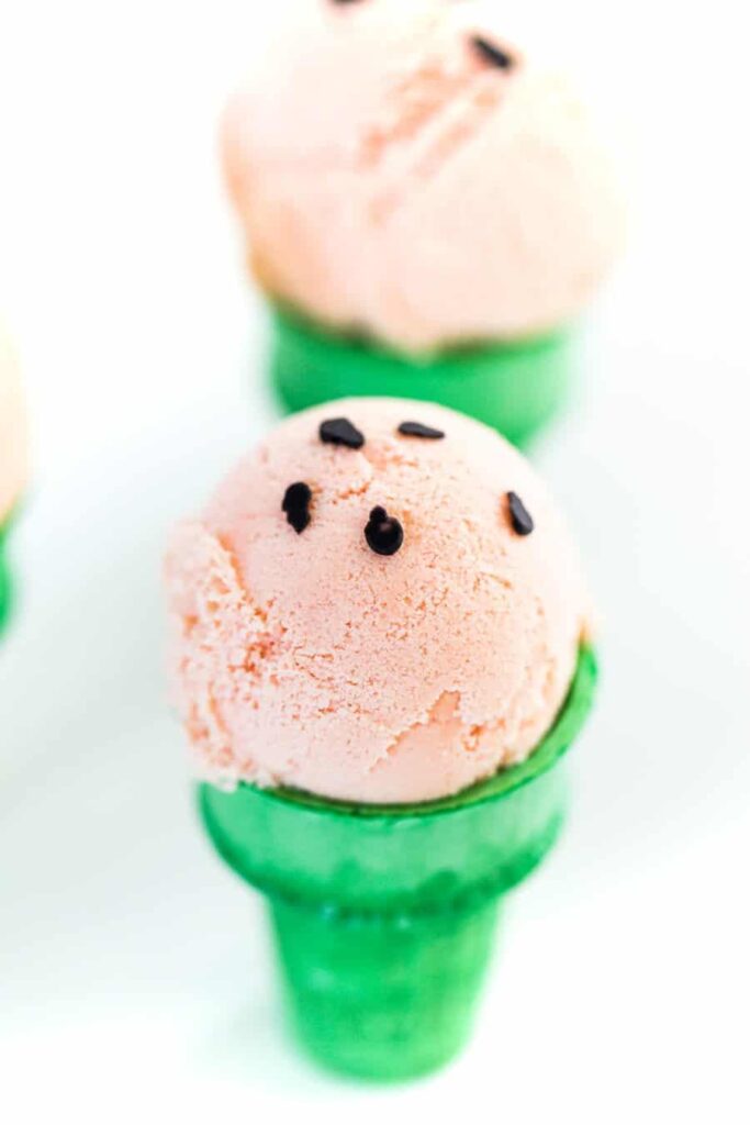 Watermelon Ice Cream – Salty Canary