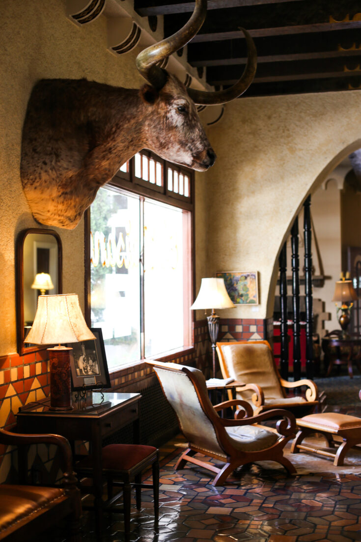 Where to Stay in Marfa, Texas - Salty Canary