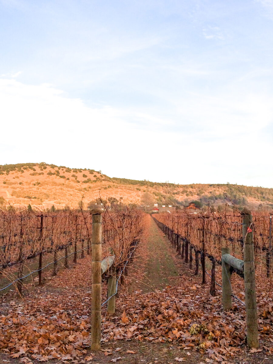 8 California Towns That Look Like Europe (And Why You Should Visit Them ...