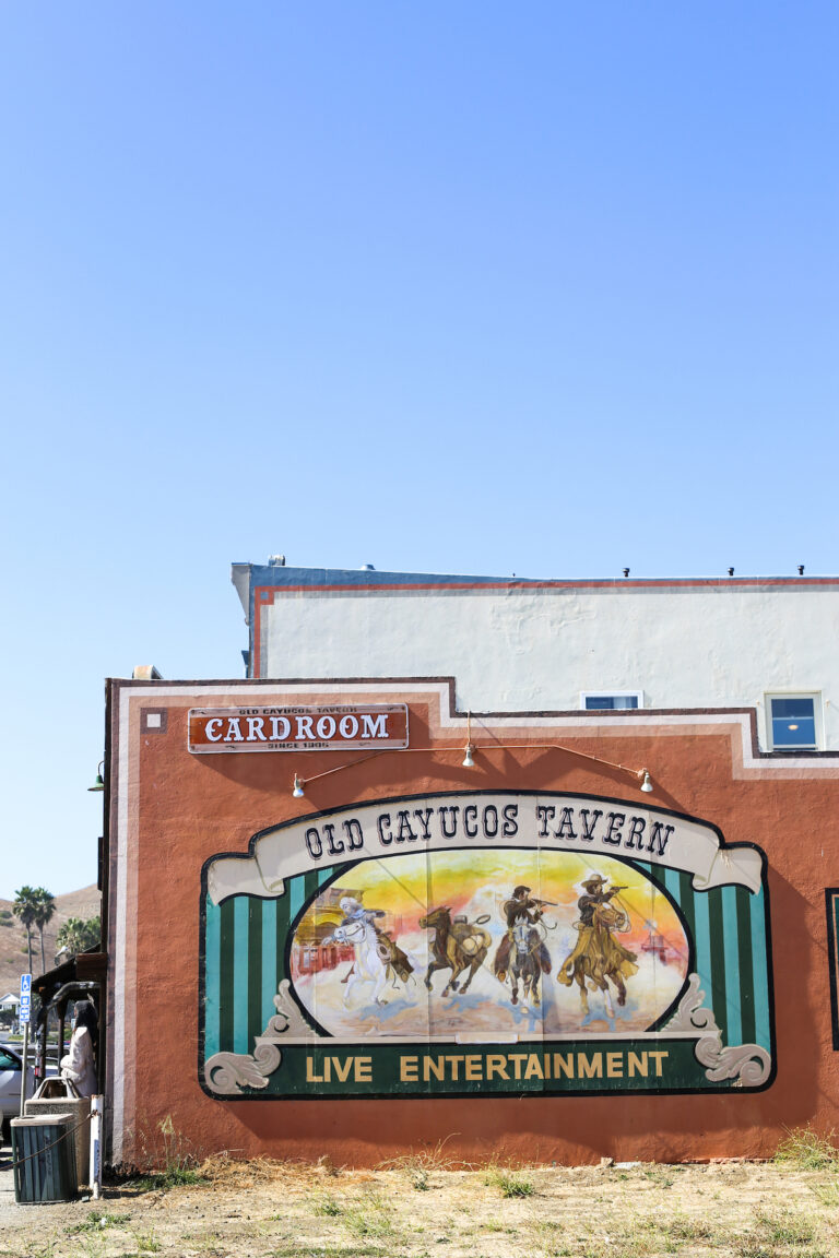 14 Awesome Things to Do in Cayucos, California – Salty Canary