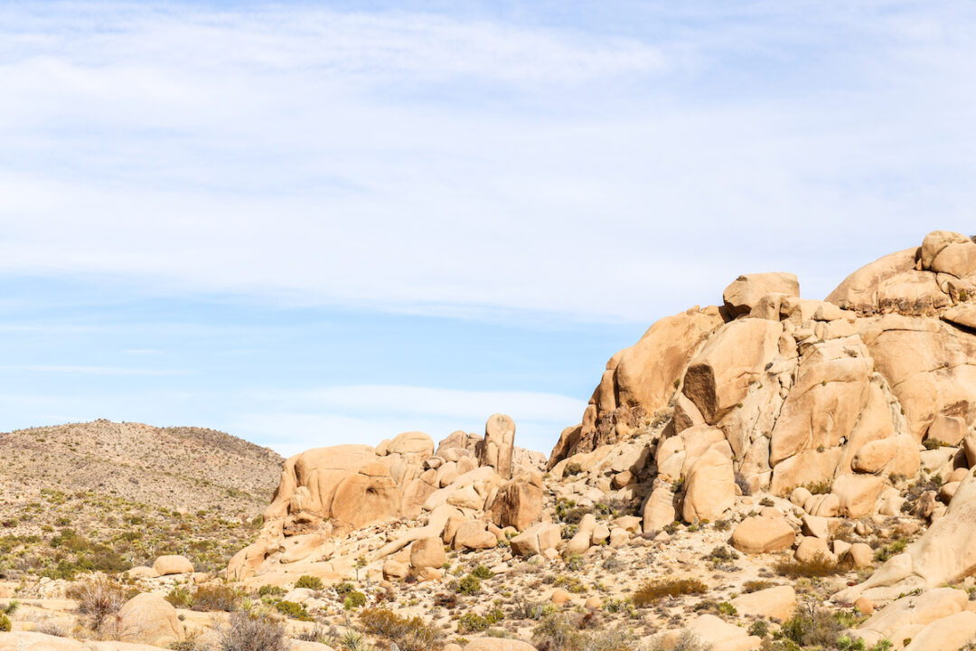 A Travel Guide to Joshua Tree National Park and Gateway Towns – Salty ...
