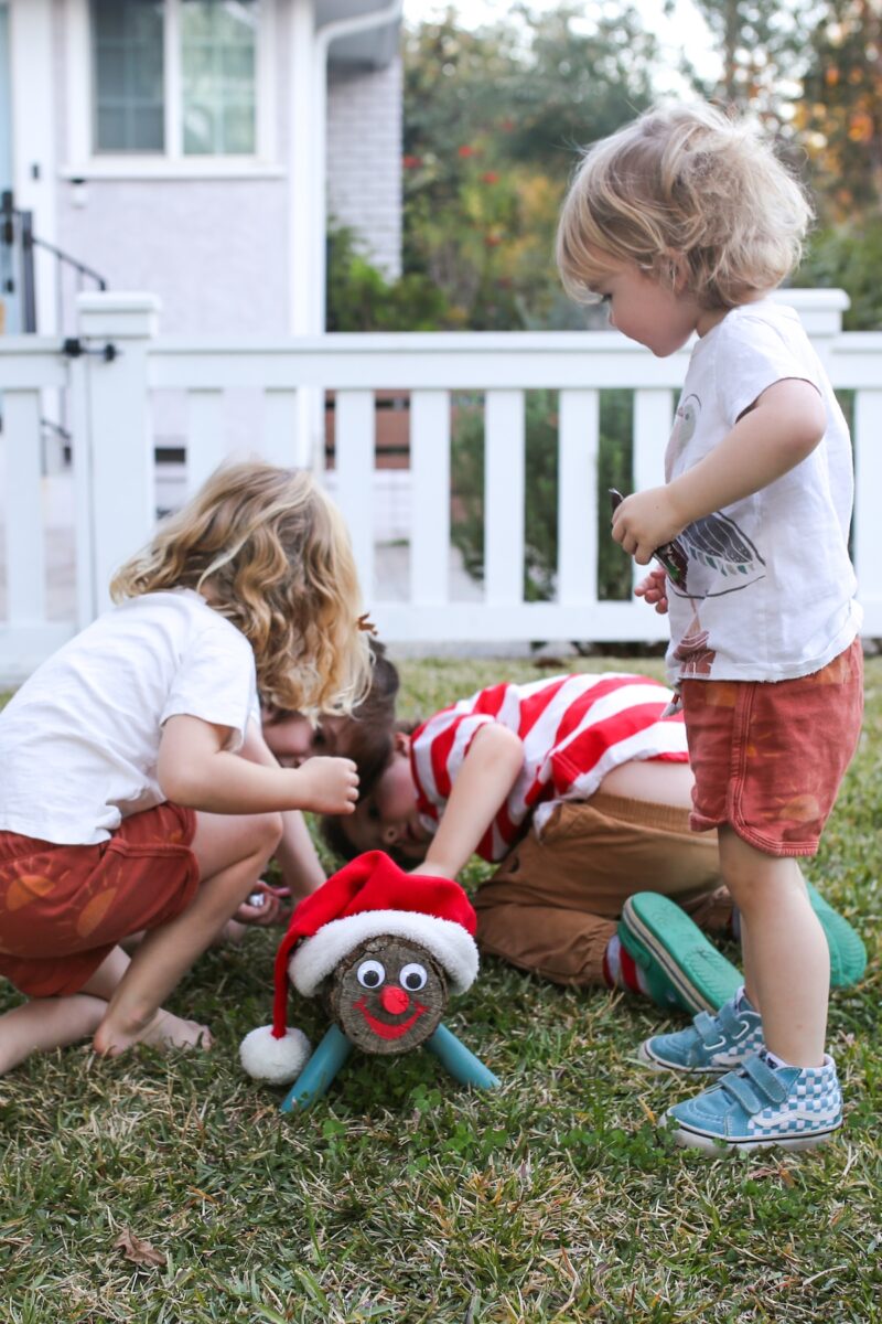Make Your Own DIY Pooping Log for the Holidays – Salty Canary