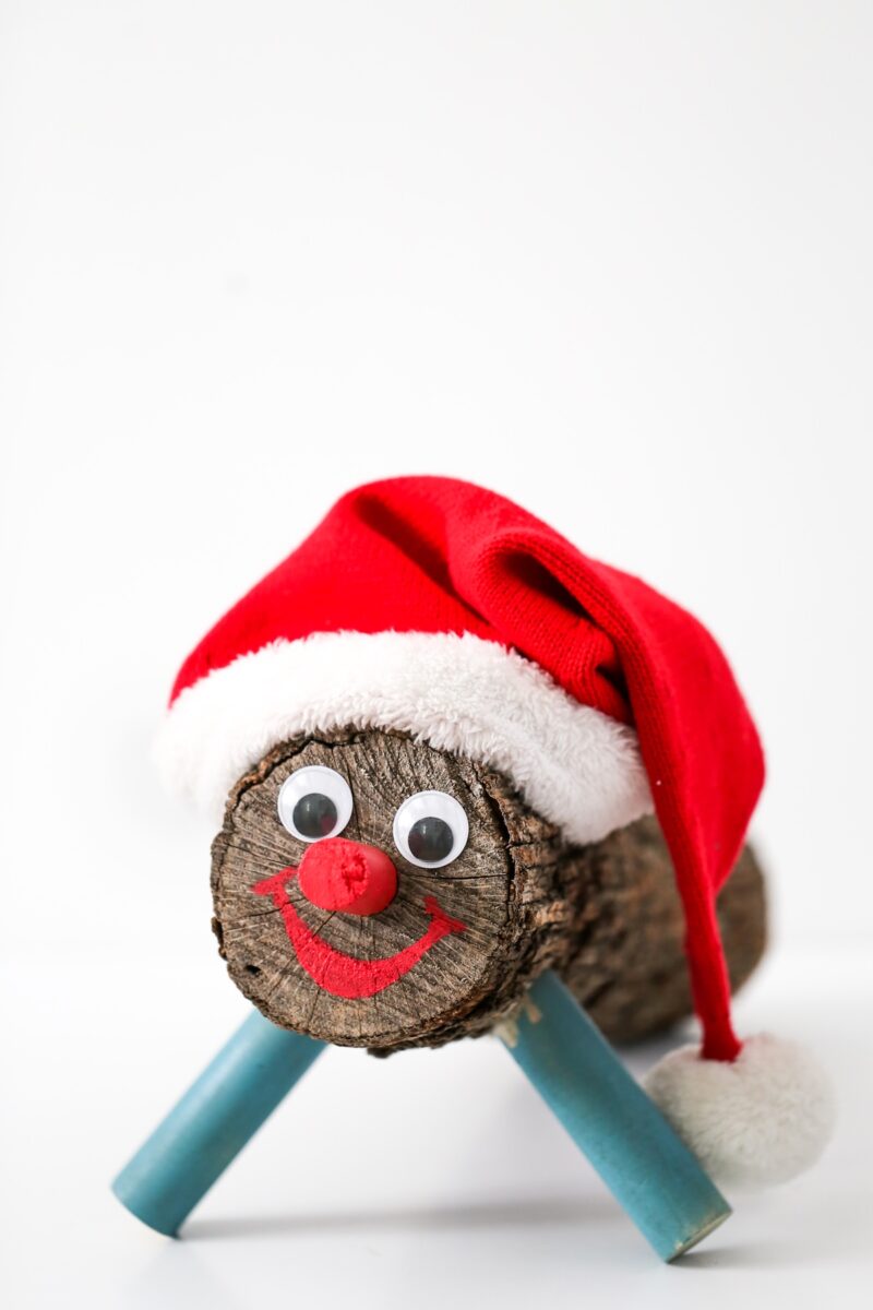 Make Your Own DIY Pooping Log for the Holidays – Salty Canary