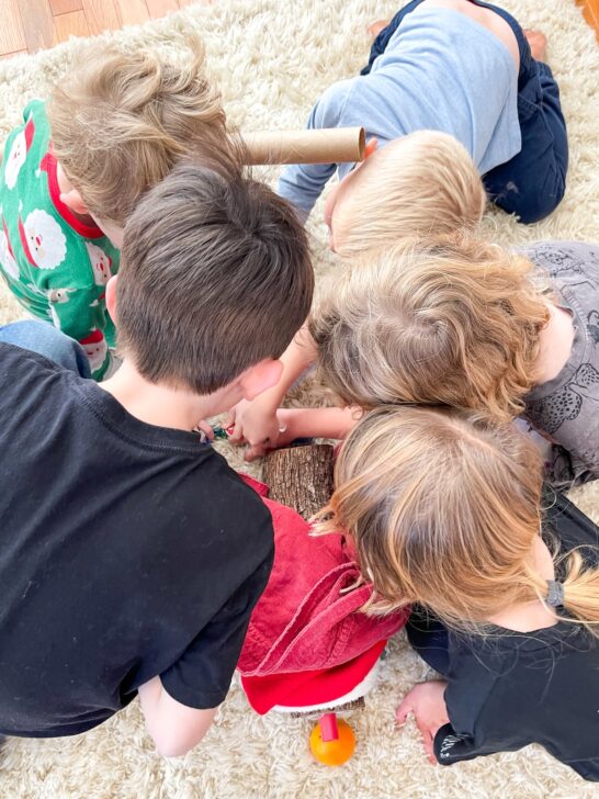 Make Your Own DIY Pooping Log for the Holidays – Salty Canary