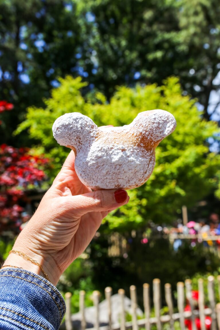 All the Mickey-Shaped Foods at Disneyland – Salty Canary
