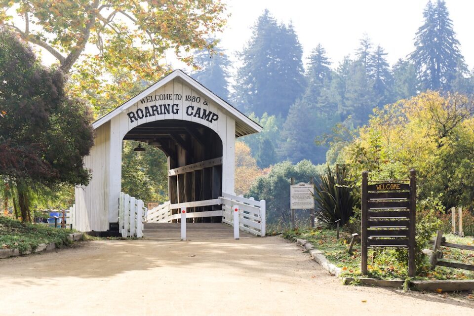 Guide to Henry Cowell Redwoods State Park & Roaring Camp Railroad and ...